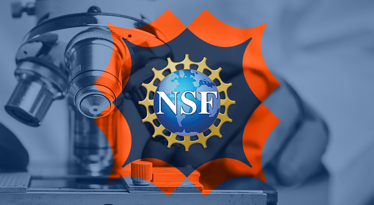 Five Roadrunners earn prestigious National Science Foundation ...
